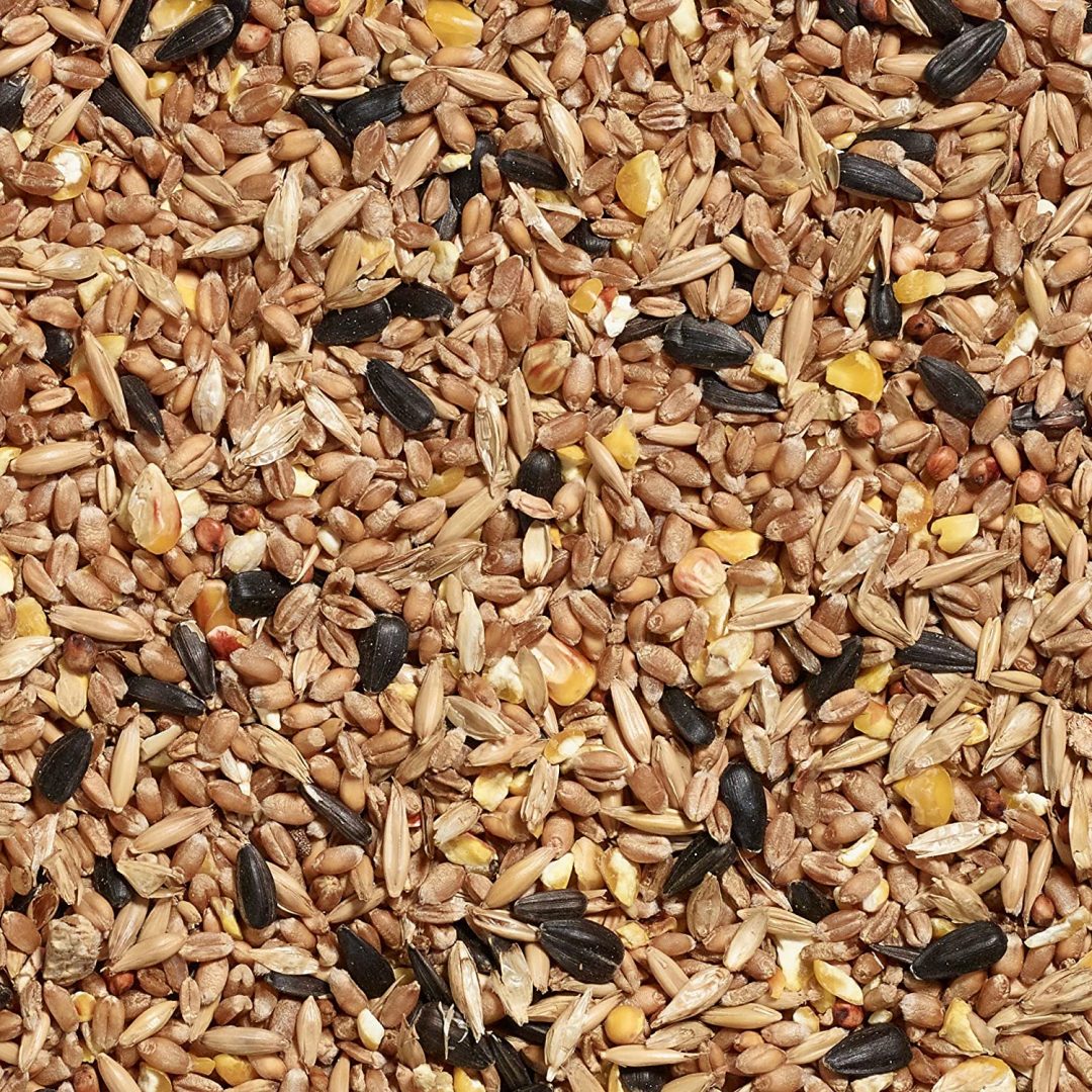 All Purpose Seed Mix - 4kg - Overt Locke