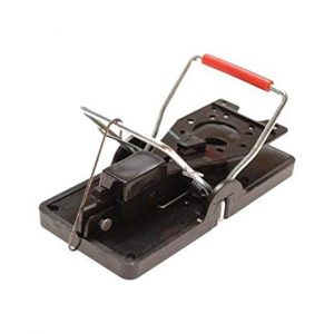 Advanced Mouse Trap - Overt Locke