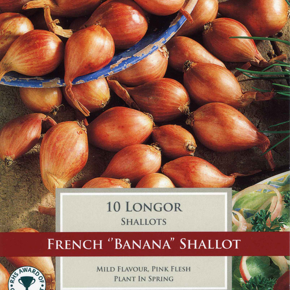 Shallot Longor - Overt Locke